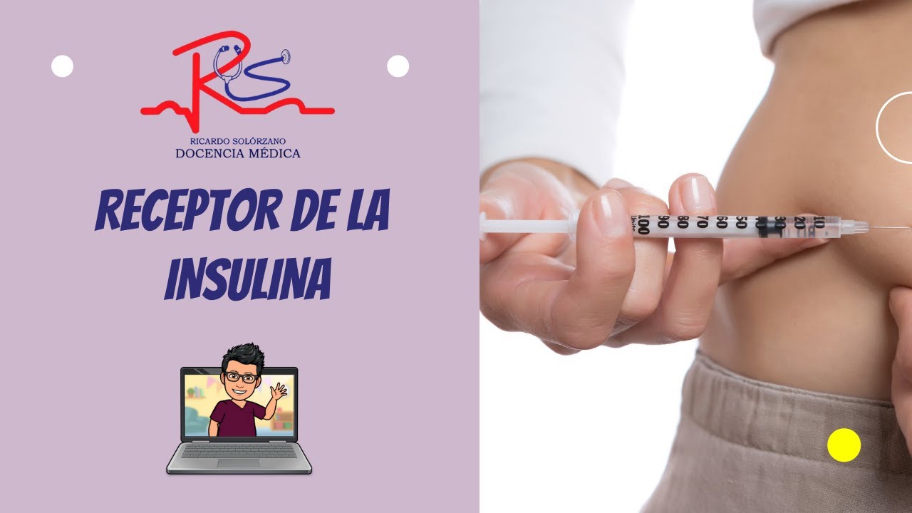 RECEPTOR DE LA INSULINA. DESCIPCIÓN MOLECULAR. SEÑALIZACIÓN. - YouTube
