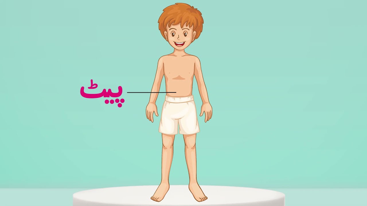 Parts of Body | Human body parts in Urdu | جسم کے حصوں کے نام - YouTube
