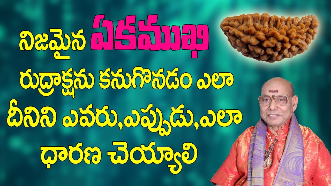 ఏకముఖి రుద్రాక్ష | Eka Mukhi Rudraksha | rudraksha benefits In Telugu ...