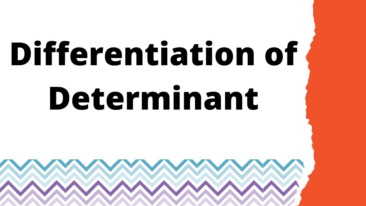 Differentiation of Determinant | With Example - YouTube