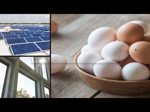 Solar Panel News in The USA. / Story about eggs - YouTube