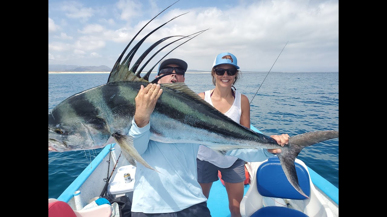 Baja Fly Fishing Action // Gear Dump and Tips for Success on ...