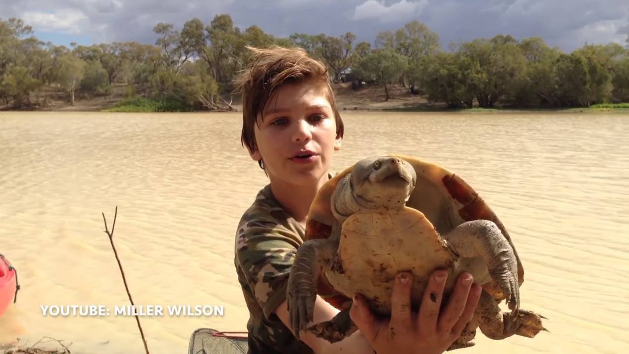 Miller Wilson - Wild Animals, Fishing, Sharks, lizards, Eels and Snakes ...