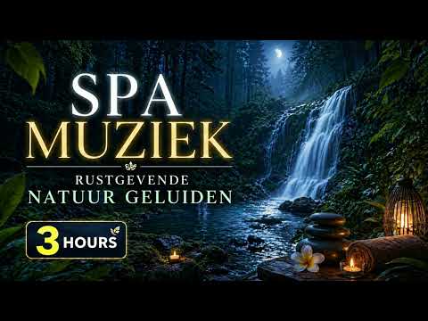 Spa Muziek Rustgevende Natuur Geluiden (3Hours) Vol. 1 – TNR Relax Music