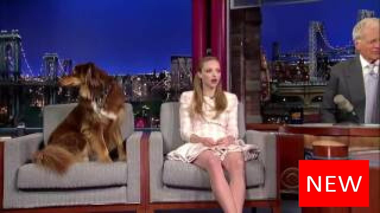 Amanda Seyfried David Letterman Interview youtube -Amanda-Seyfried ...