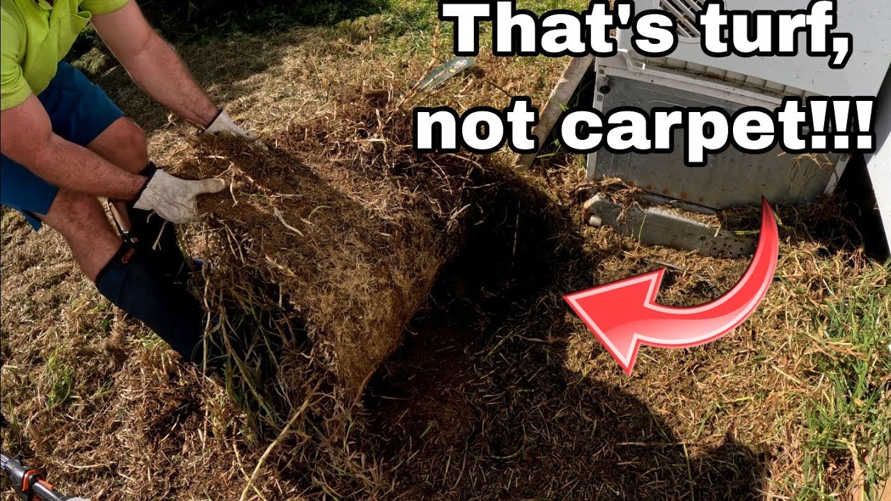 What the?! Epic turf peel to expose a hidden patio! - YouTube