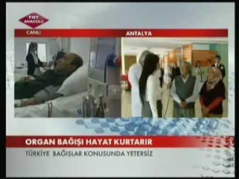 MedicalPark Antalya Hastane Kompleksi Organ Nakli Bölümü Prof.Dr Alper DEMİRBAŞ-2