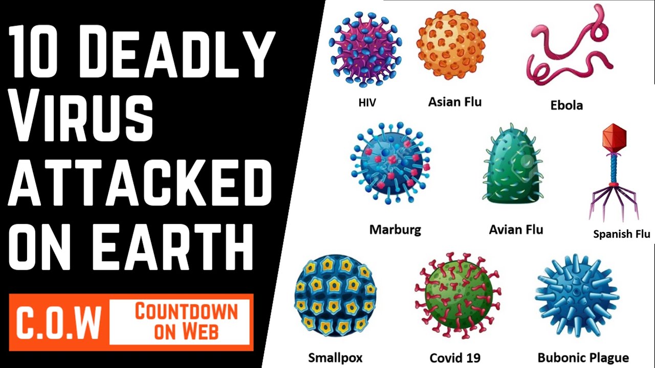 10 Deadly Viruses on Earth | पृथ्वी पर 10 घातक वायरस - YouTube