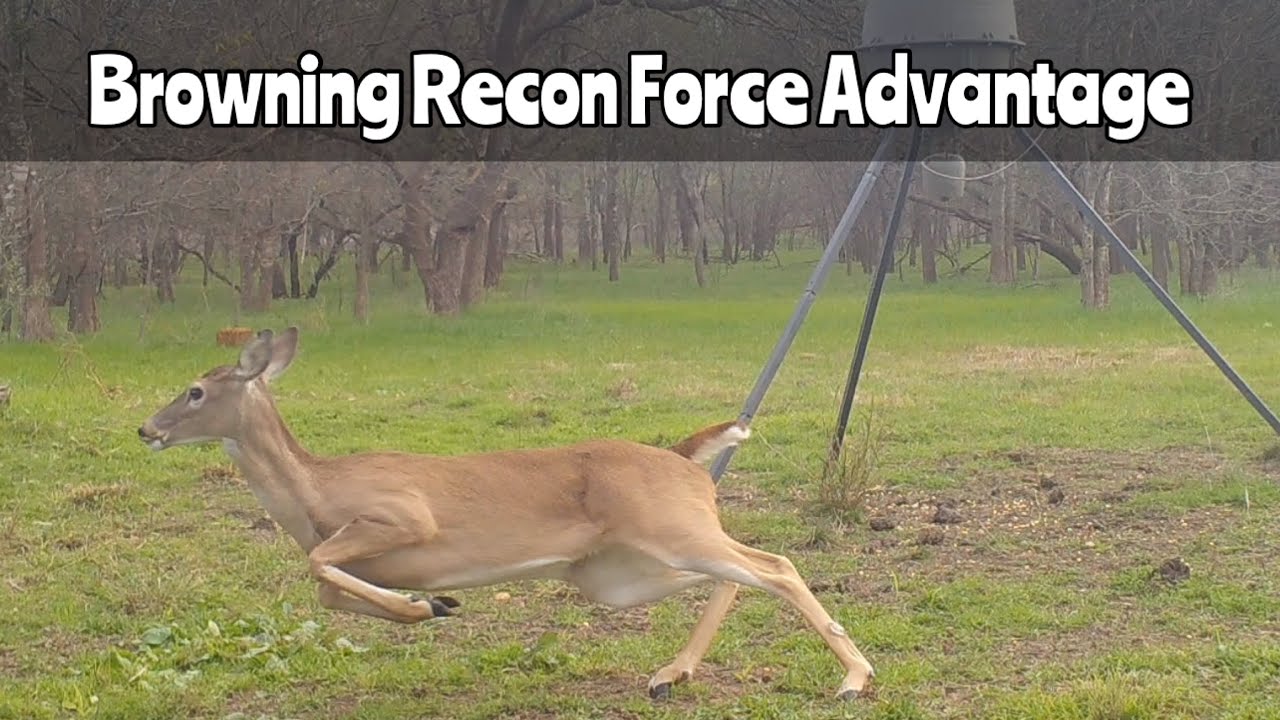 Deer Feeder #1: Browning Recon Force Advantage Dec. 1-2, 2023 - YouTube