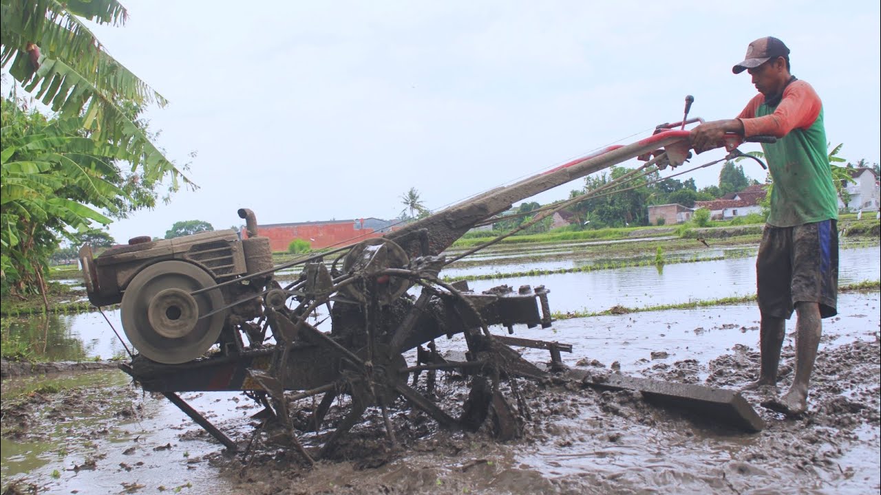 Rice Tractor Machine.!Yanmar Diesel Engine Harvesting Rice Paddy Fields ...