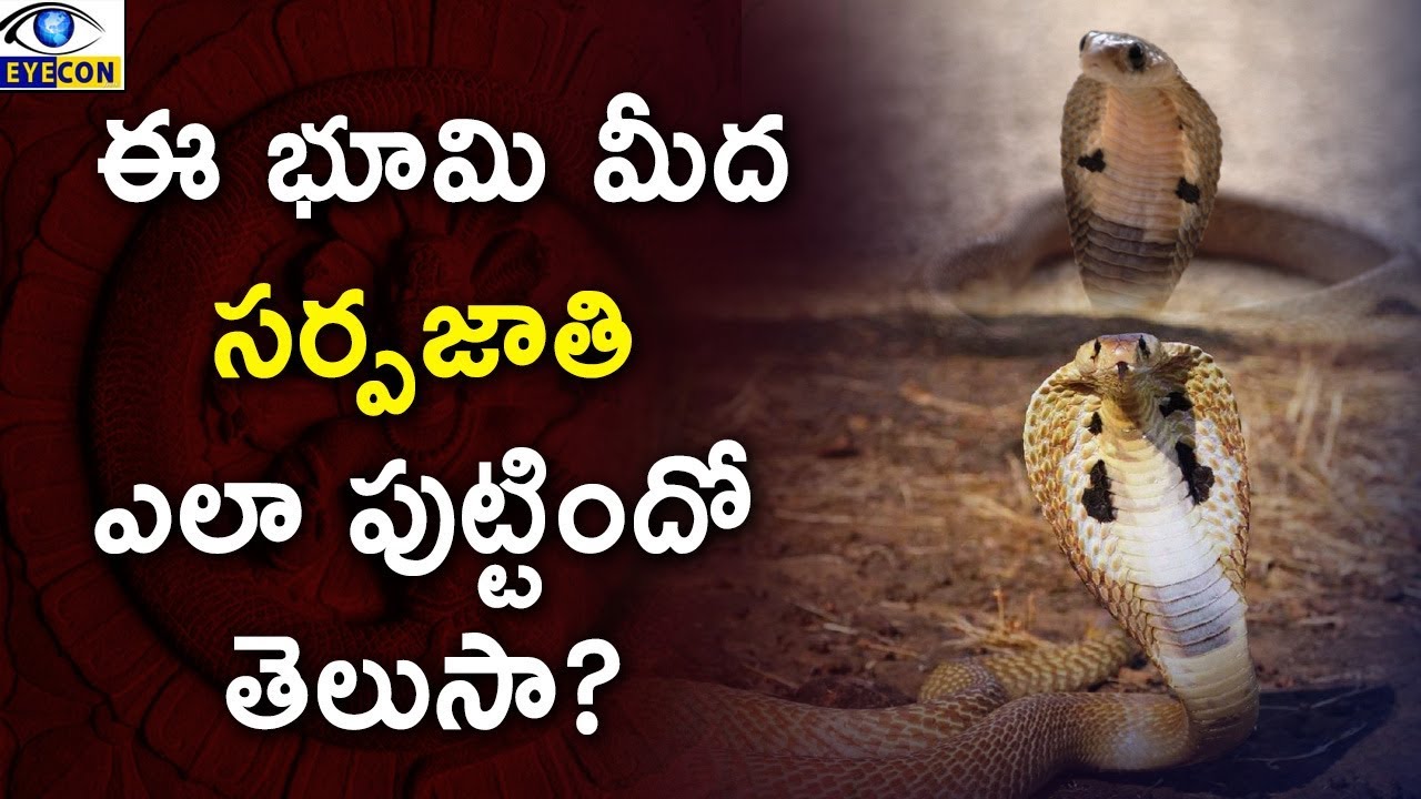 ఈ భూమి మీద సర్పజాతి ఎలా పుట్టిందో తెలుసా? || Do you Know about Sarpa ...