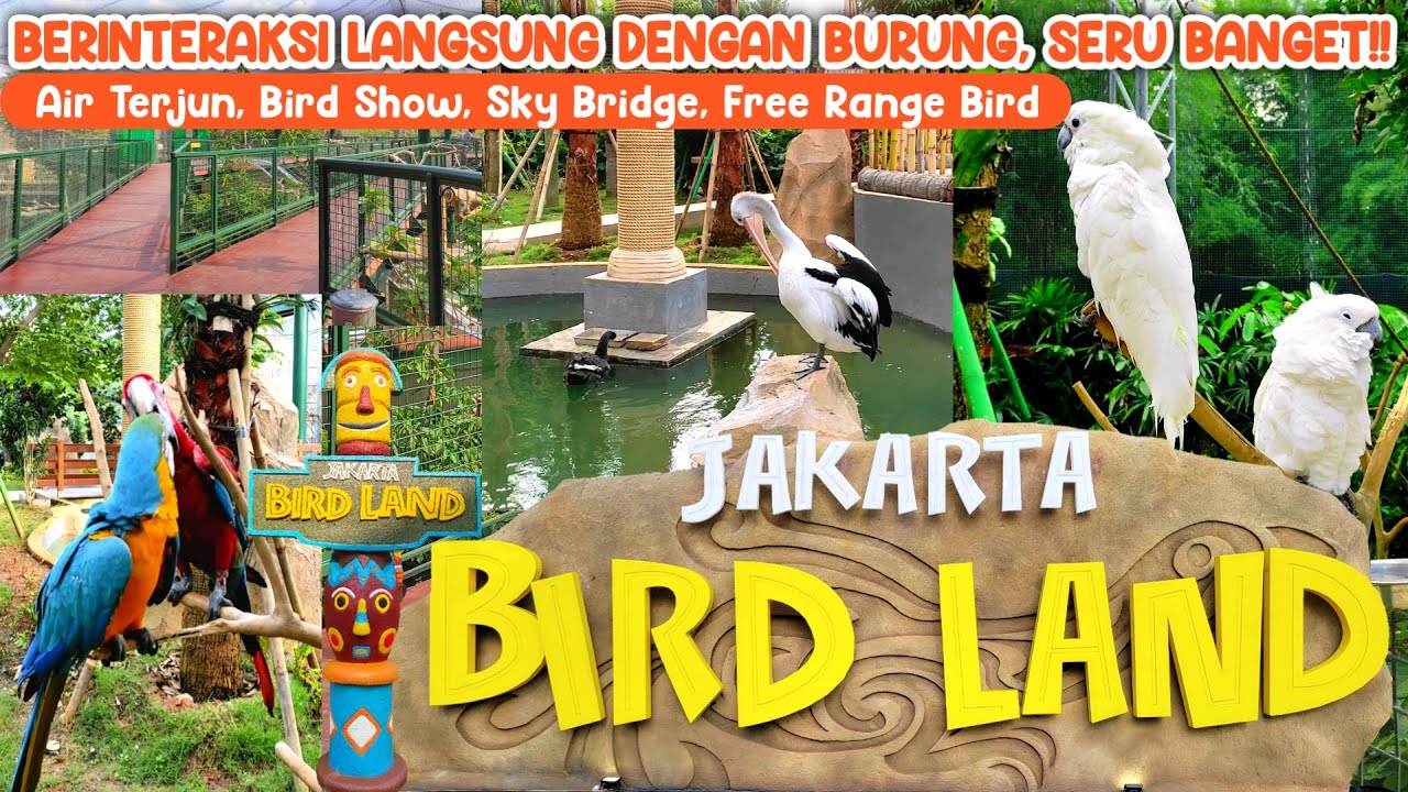 WISATA ANCOL TERBARU | JAKARTA BIRD LAND ANCOL, Seru Banget!! - YouTube
