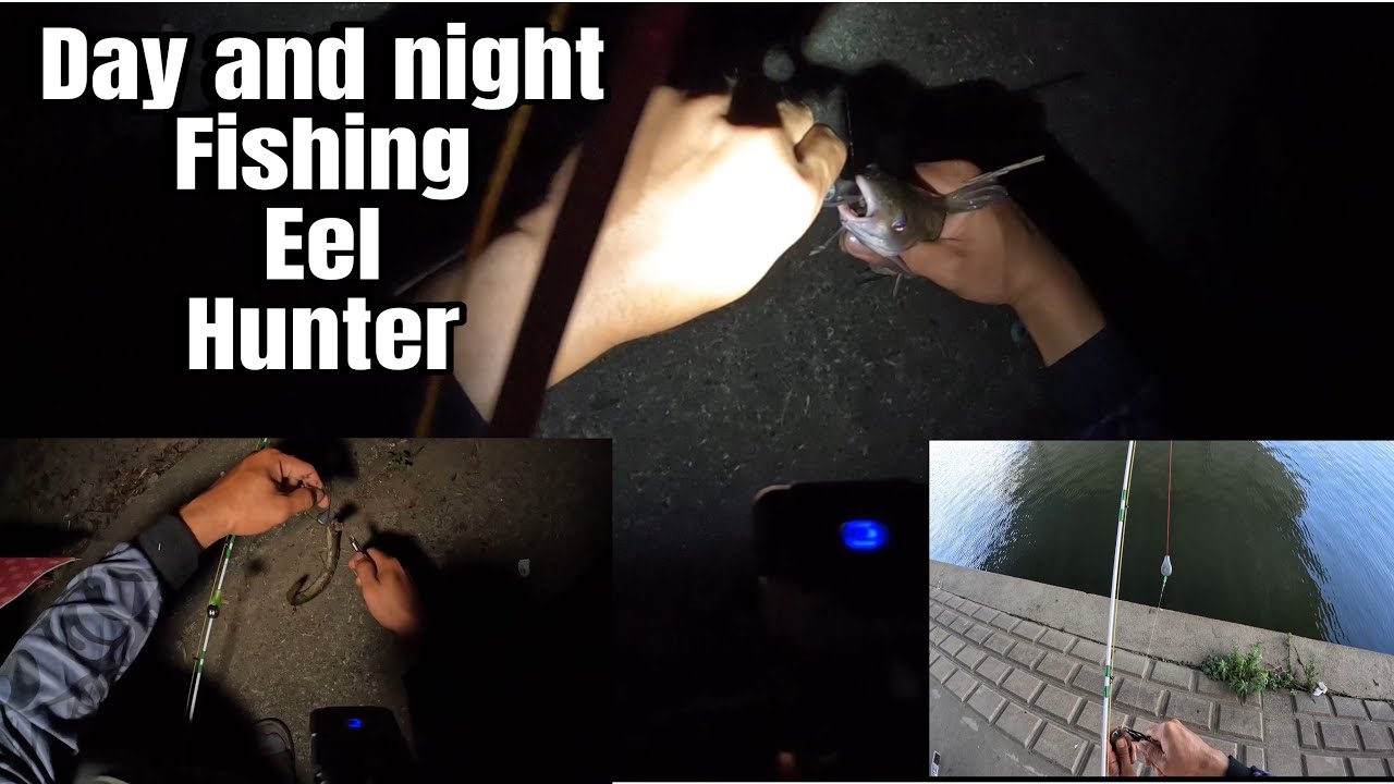 NIGHT AND DAY FISHING | EEL HUNTER | NOT SO BAD - YouTube
