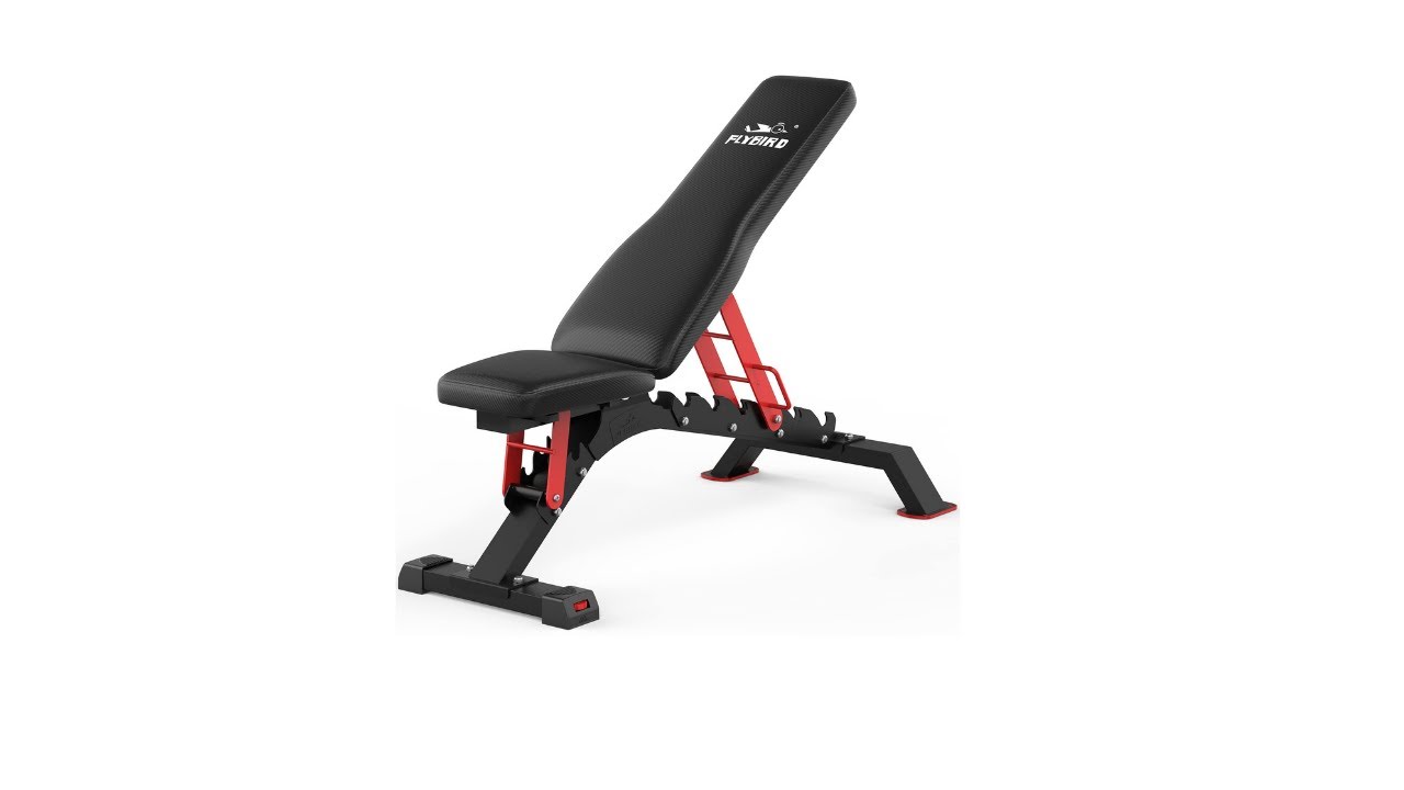 Flybird Pro Weight Bench - 1100 LBS Capacity - YouTube