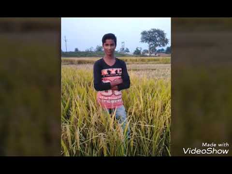 Daklin raja