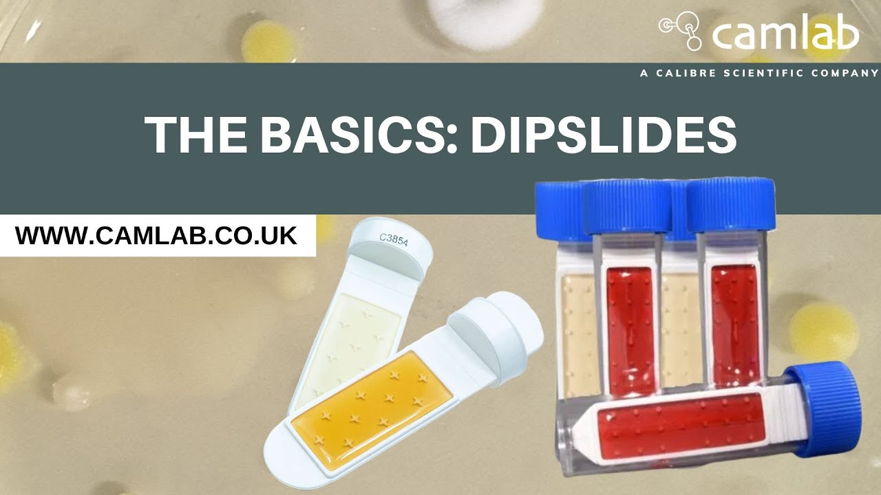 The Basics: Dipslides - YouTube