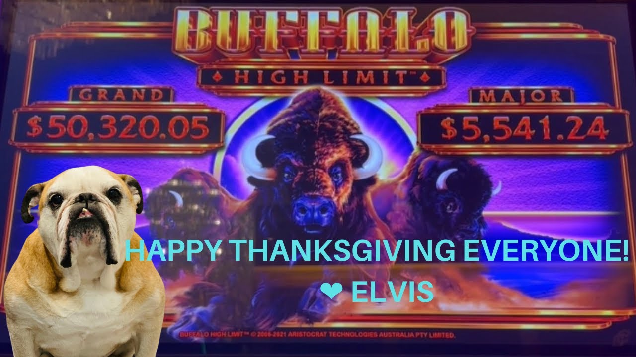 Buffalo High Limit Bonus - Aria Las Vegas High Limit Room - YouTube