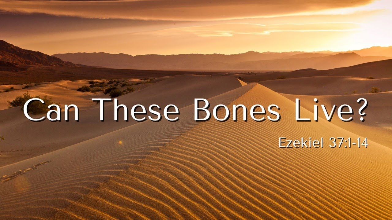 Can These Bones Live? | Ezekiel 37:1-14 - YouTube