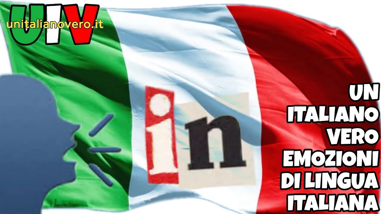 «Tu parli italiano, parli l'italiano, ma si può dire che tu parli IN ...