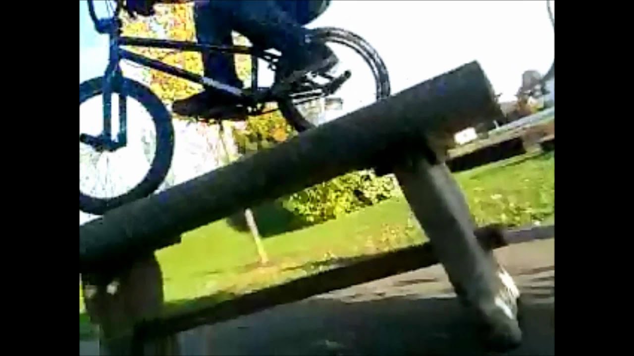 Bunny Alex Youtube