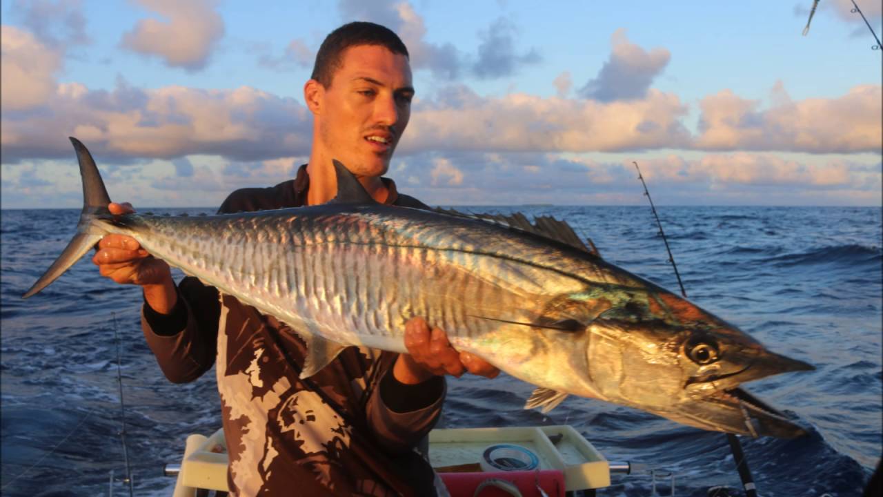 Samurai fishing rods - YouTube