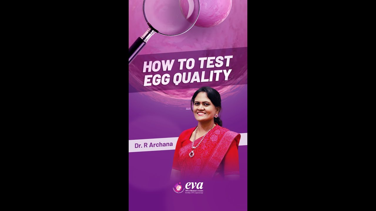 How To Test Egg Quality - Day 4 of the Series - YouTube