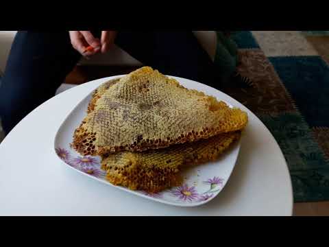 Petek Balın (Karakovan) Özellikleri Nedir?