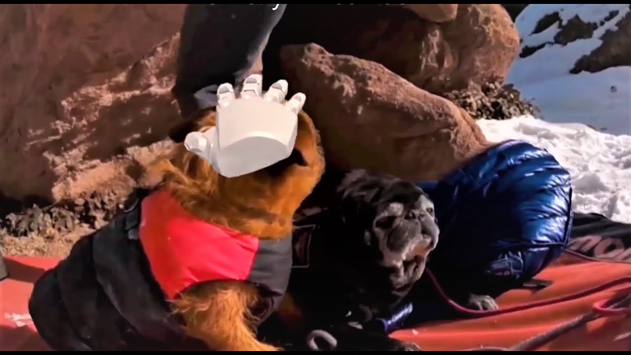 How to create touchable volumetric videos for VR (Touchly app) - YouTube