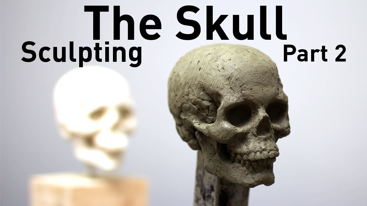 Sculpting the Skull - Part 2 - YouTube