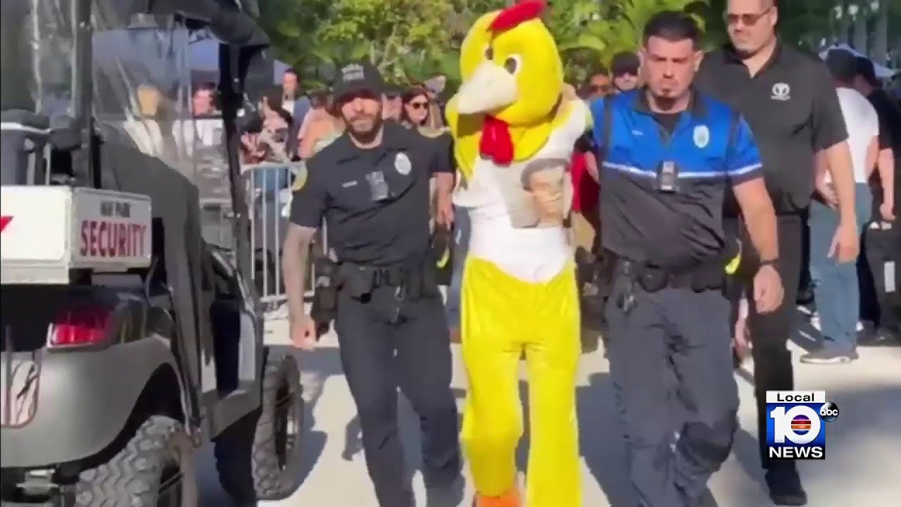 Critics are crying fowl after man dressed as chicken arrested during ...