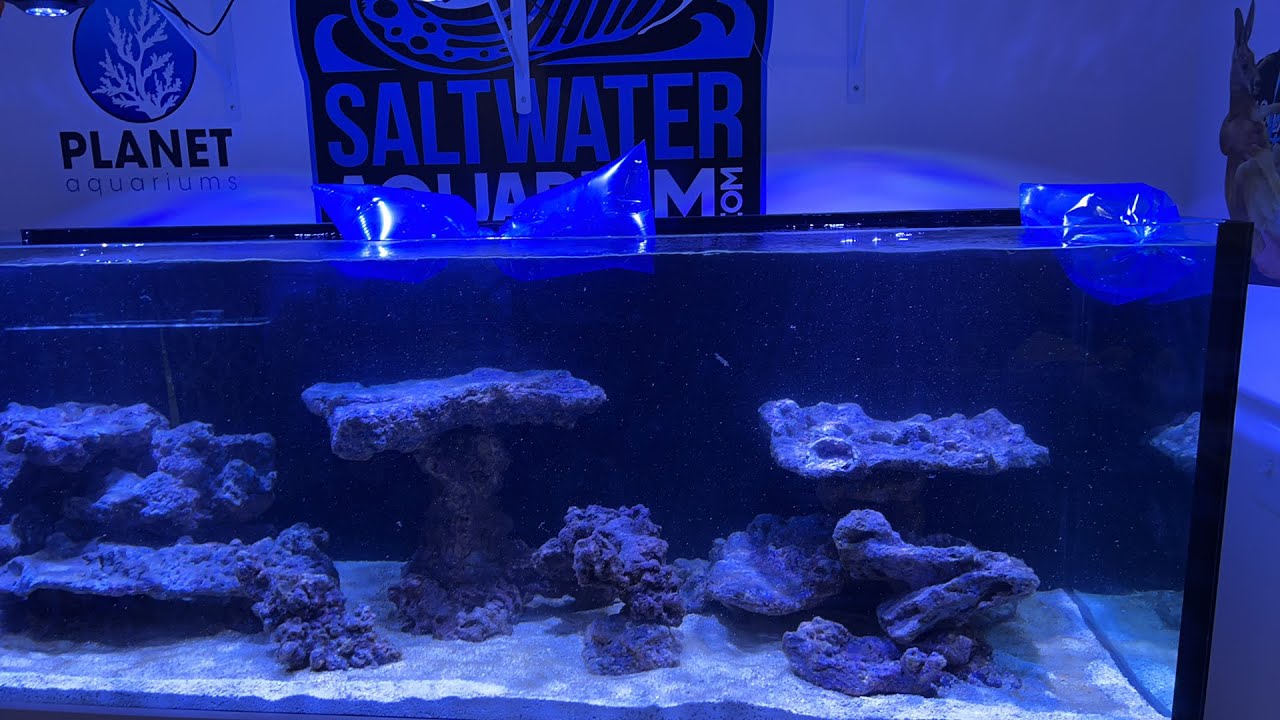 Aquarium update!!! - YouTube