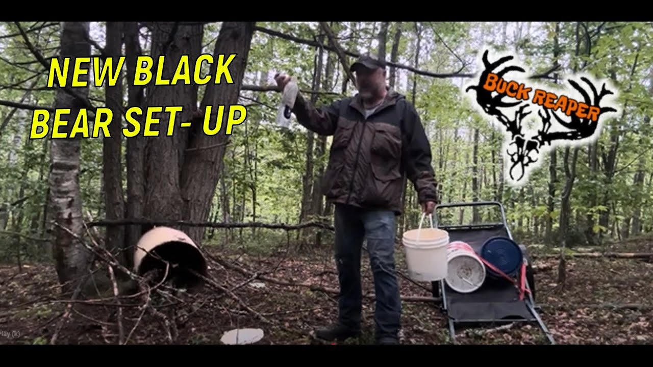New black bear bait setup in Maine - YouTube