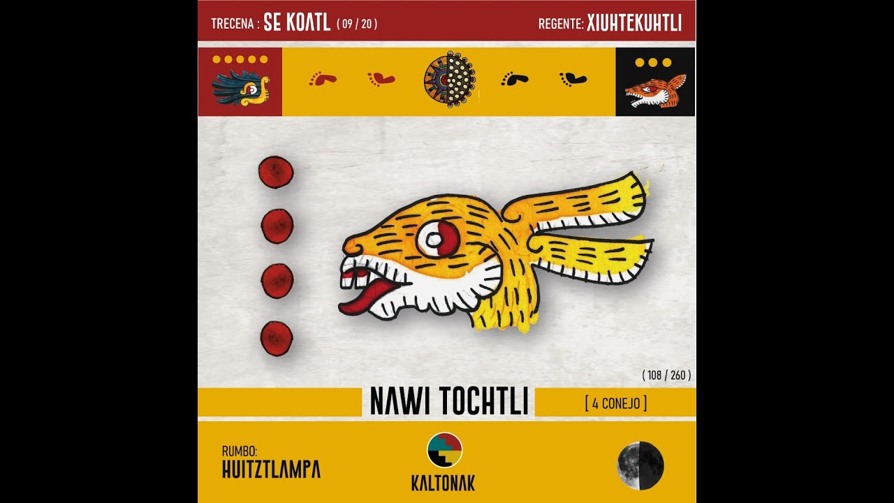 Tonalli Nawi Tochtli / 4 Conejo Lectura e interpretación - YouTube