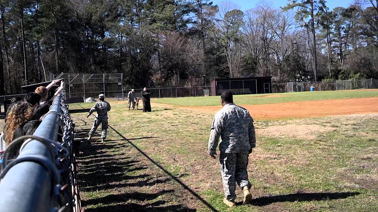 U.S. Army Attack Dog Takedown - YouTube