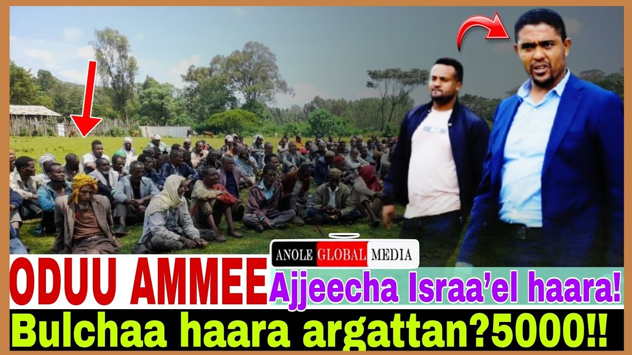 Bulchaa haara argattan?? 5000!!/10/20/2024 AGM - YouTube