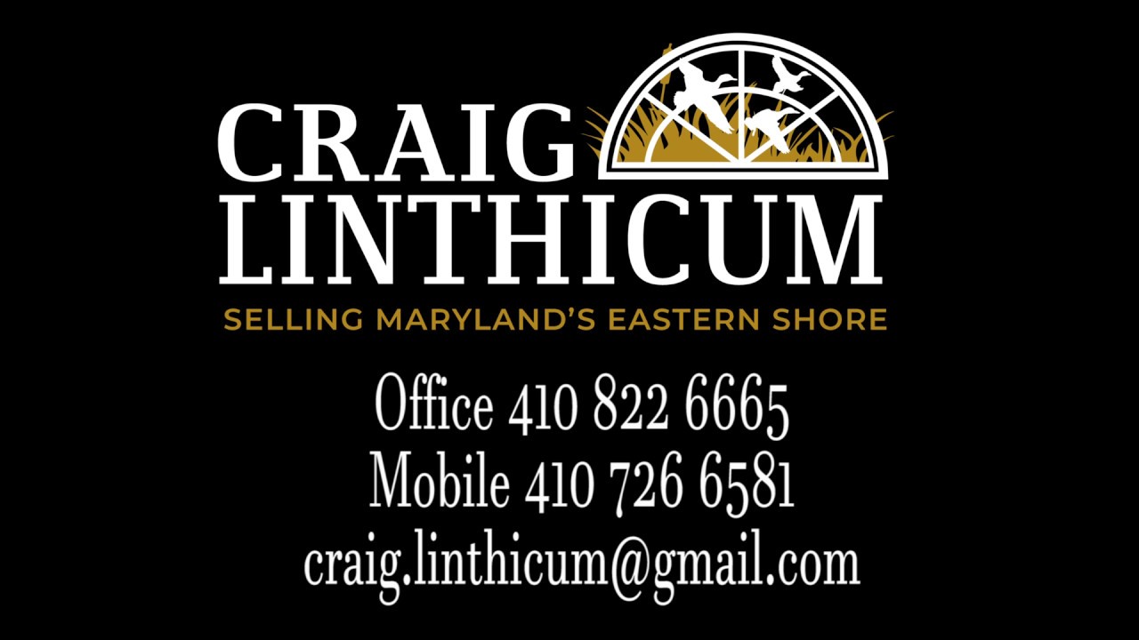 Five Ponds Farm - YouTube