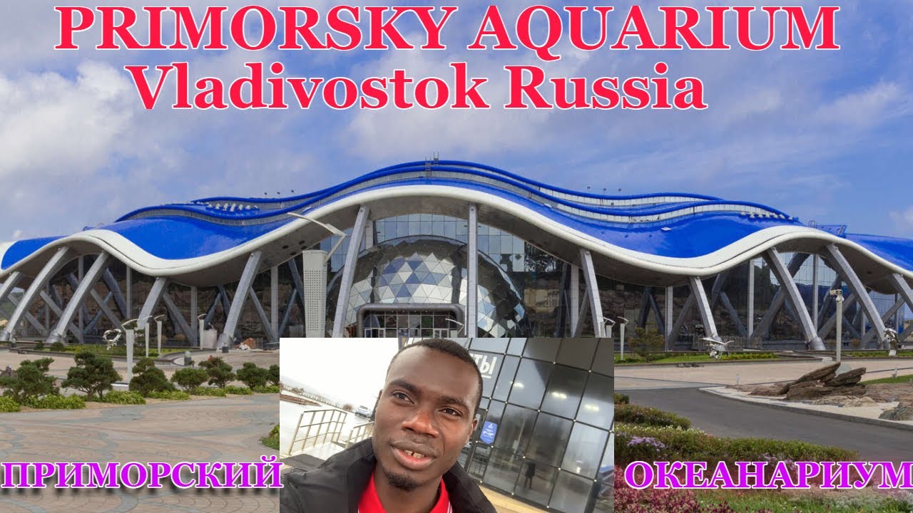 Touring the Aquarium/Russia - YouTube