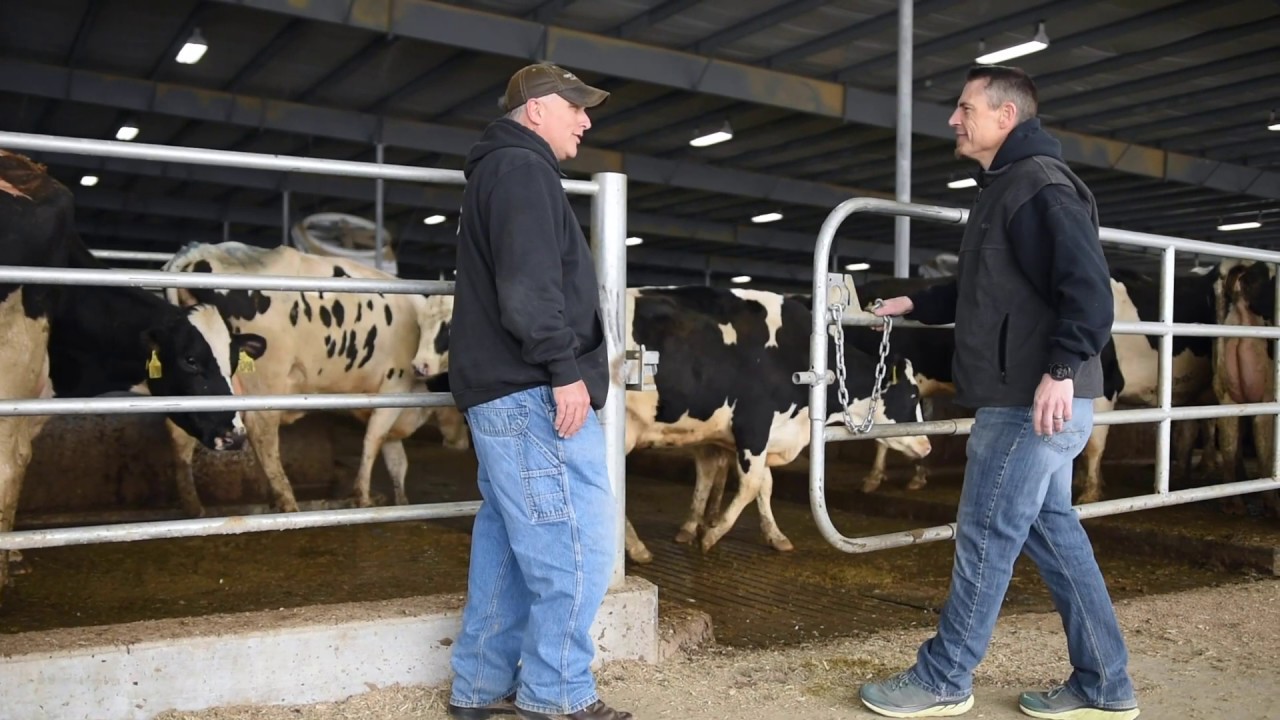 Project Highlight | Perry Creek Dairy | Adjustable Gates - YouTube