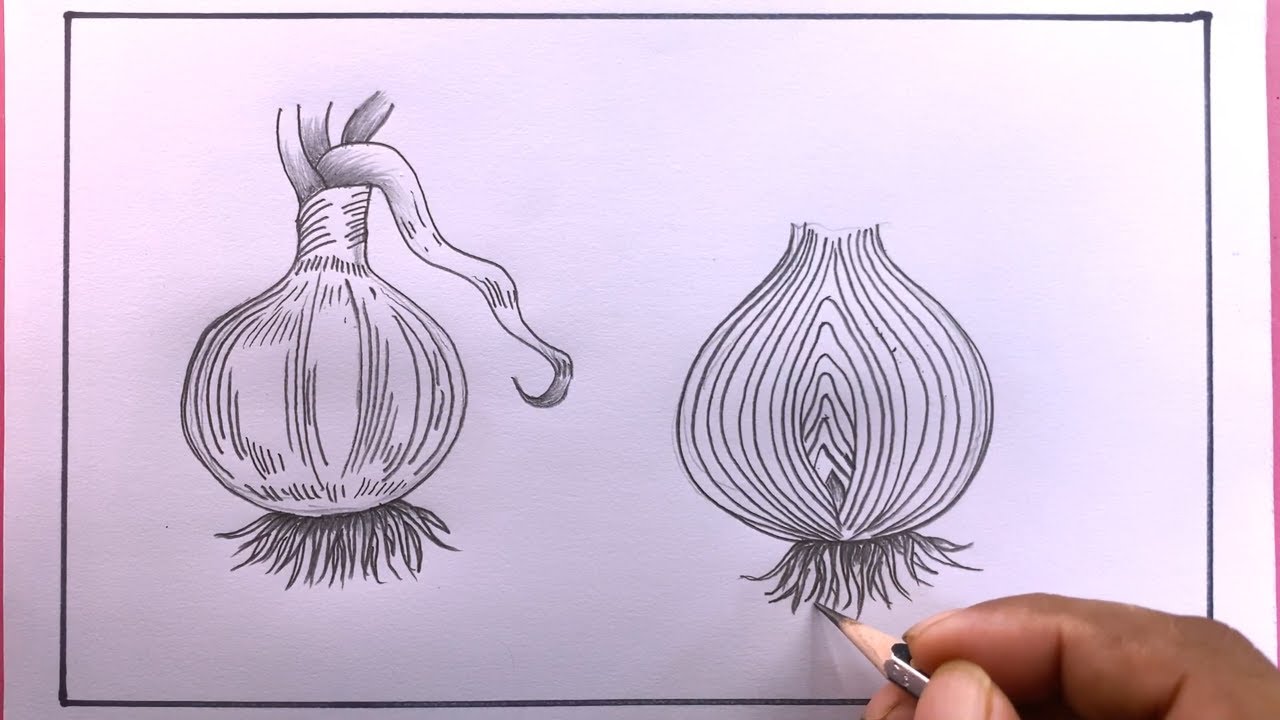 How To Draw onion bulb Easy/Drawing Onion Easy - YouTube