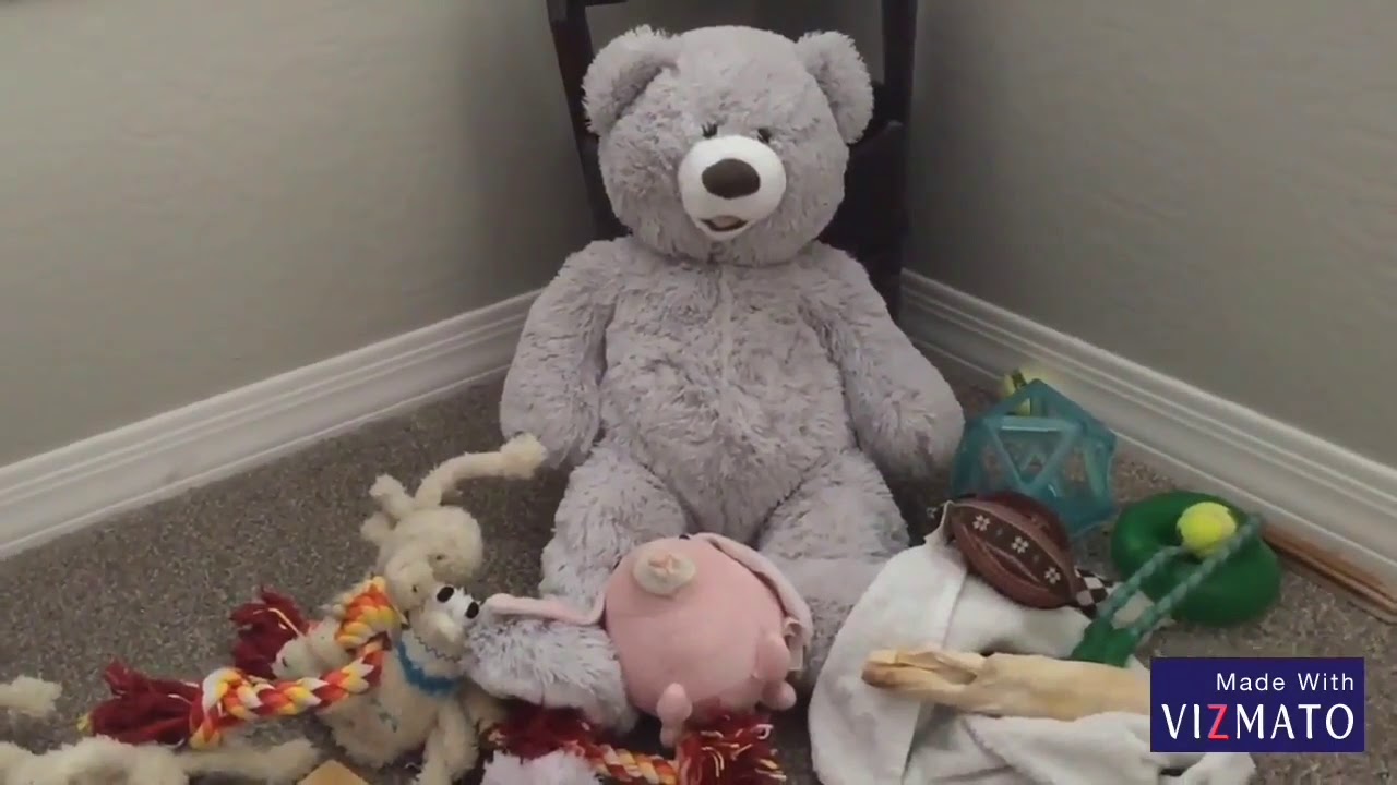 The Case Of The Missing Toys - YouTube