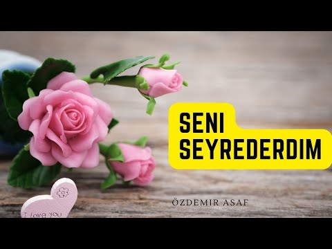 Seni Seyrederdim Şiiri | Özdemir Asaf ( Şiir )