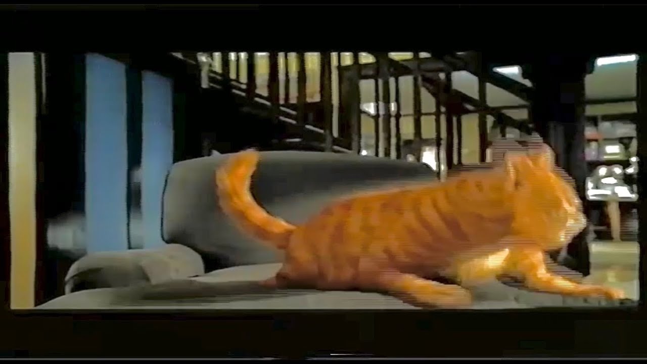 Garfield: The Movie: VHS & DVD UK Trailer (2004) (3) - YouTube