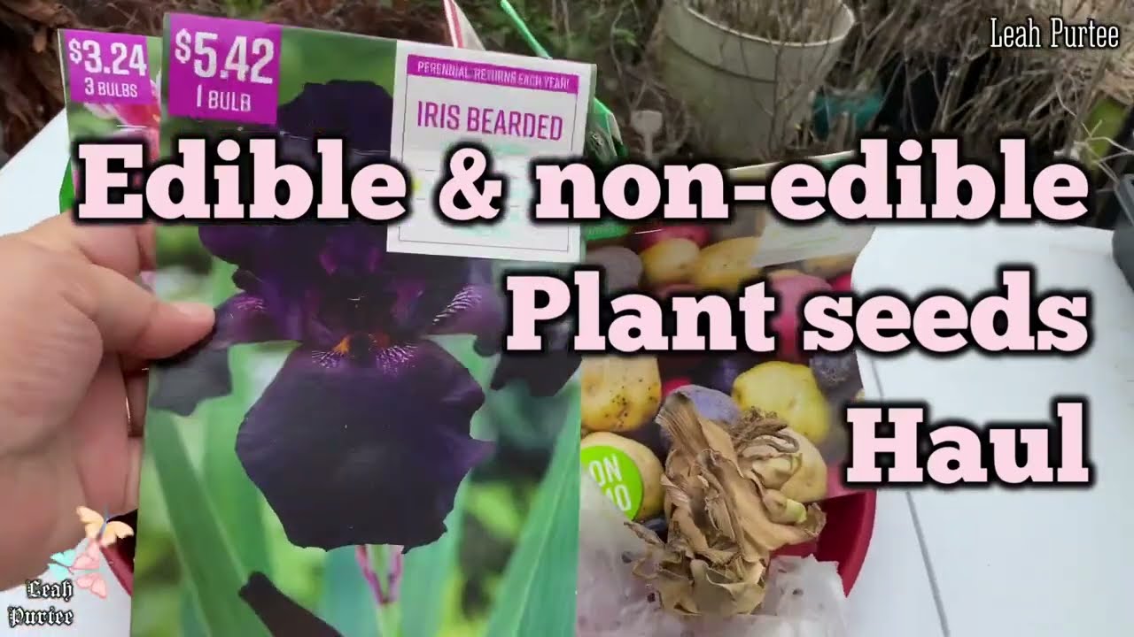 Edible and non-edible Plant Seeds Haul || How to plant Potato and ...