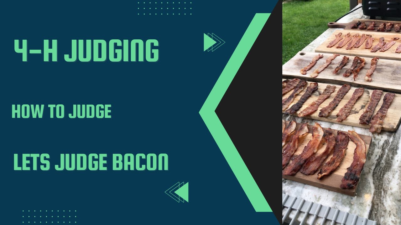 4-H Judging (Critical Thinking) How to do a Judging Competition with ...