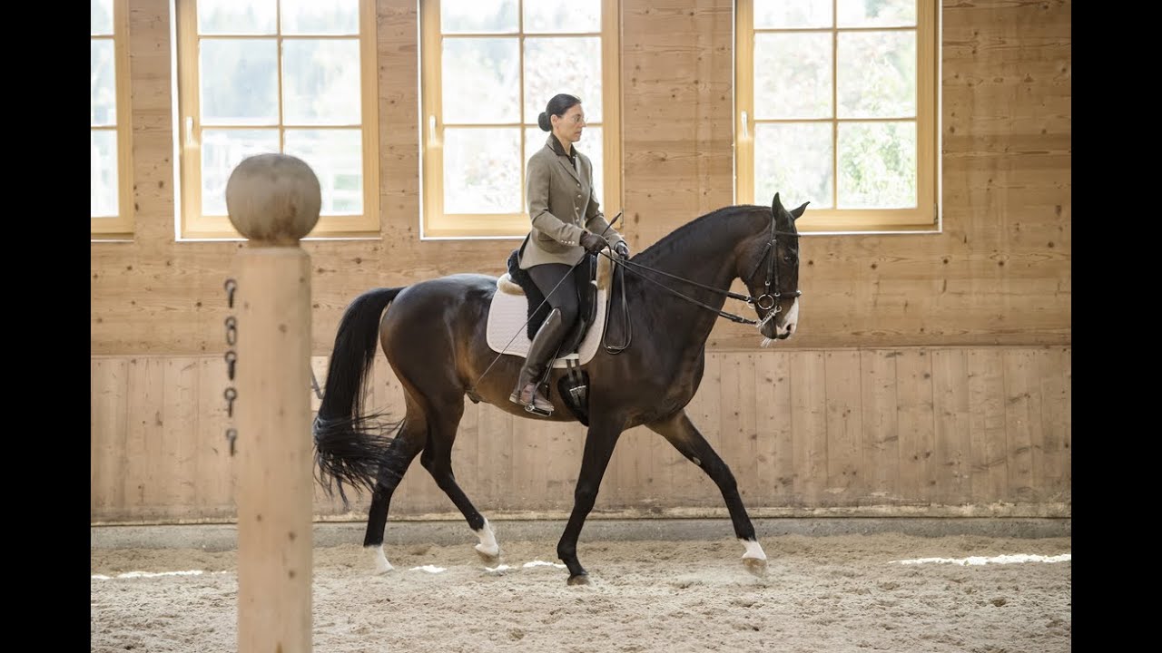 Seitengänge mit Anja Beran - YouTube