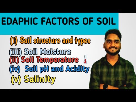 EDAPHIC FACTORS OF SOIL Class 8th #biology #botany #ecology - YouTube