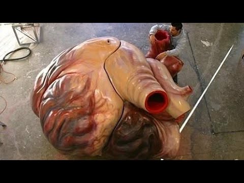 İŞTE HAYATINIZDA DUYMADIĞINIZ 53 İLGİNÇ BİLGİ