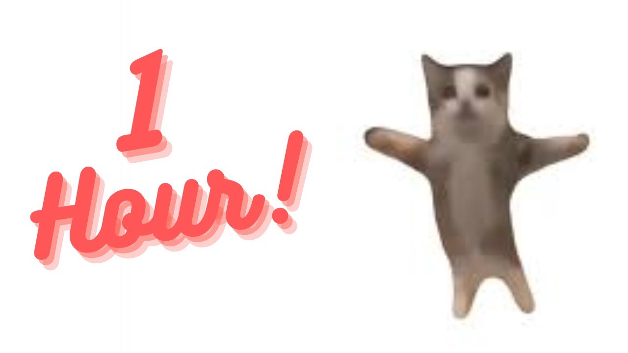 Happy Happy Cat for 1 Hour ! - YouTube