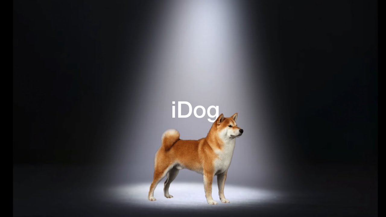 iDog - YouTube