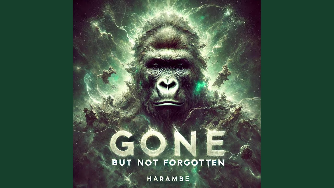 Harambe Got Shot - YouTube
